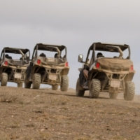 Lanzarote residents complain about buggy tours