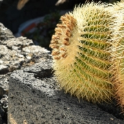 How Volcanic Materials Help Shape Lanzarote’s Gardens - Gazette Life